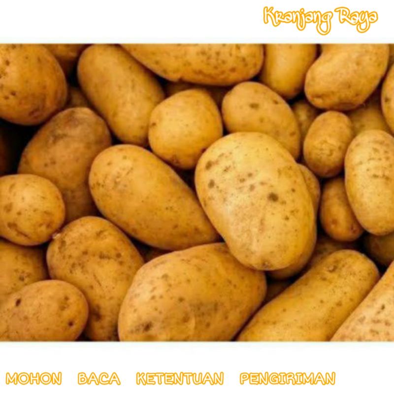 Jual Kentang | Shopee Indonesia