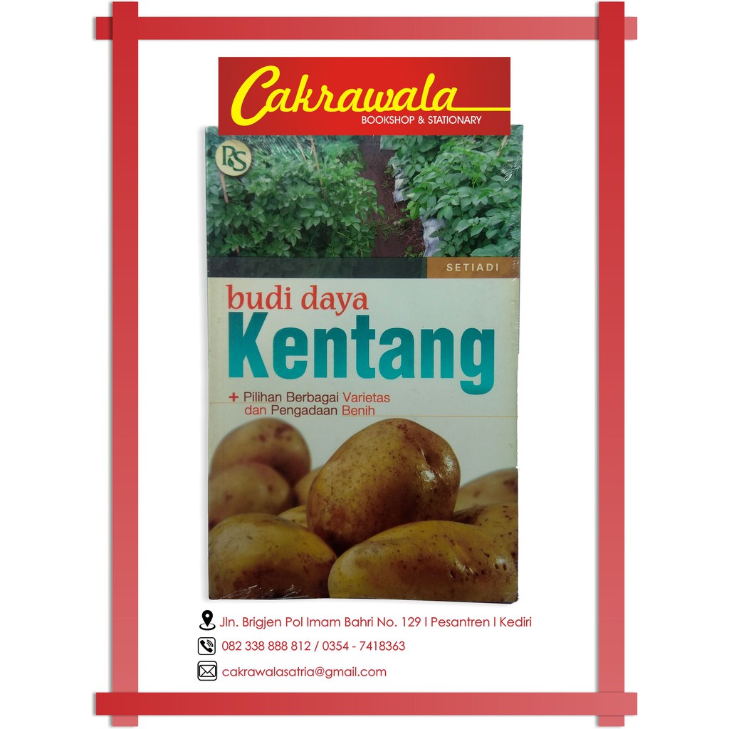 Jual BUKU BUDI DAYA KENTANG | Shopee Indonesia Jual BUKU BUDI DAYA KENTANG | Shopee Indonesia