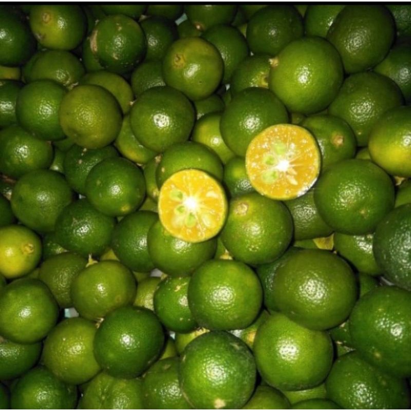 Jual Buah jeruk songkit/ kasturi/ lemon Cui fresh 1kg | Shopee Indonesia