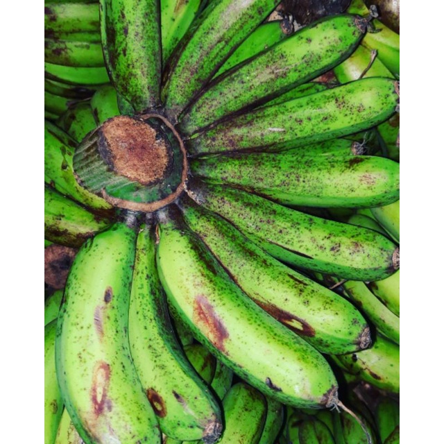 Jual BUAH PISANG BARANGAN MEDAN 1 SISIR | Shopee Indonesia
