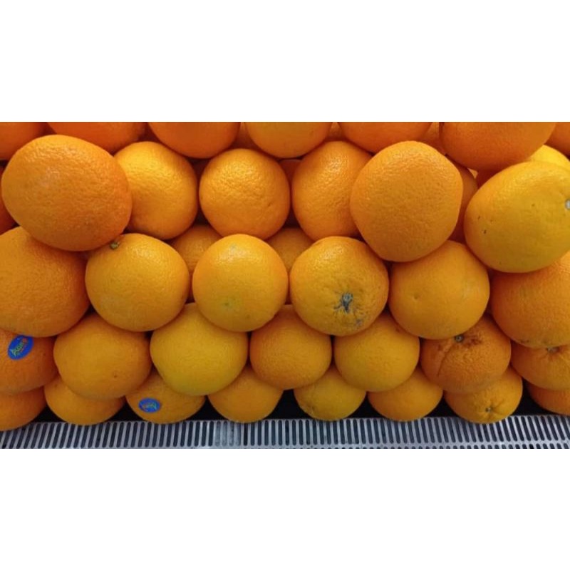 Jual Jeruk Valencia Mesir Segar 1 kg | Shopee Indonesia