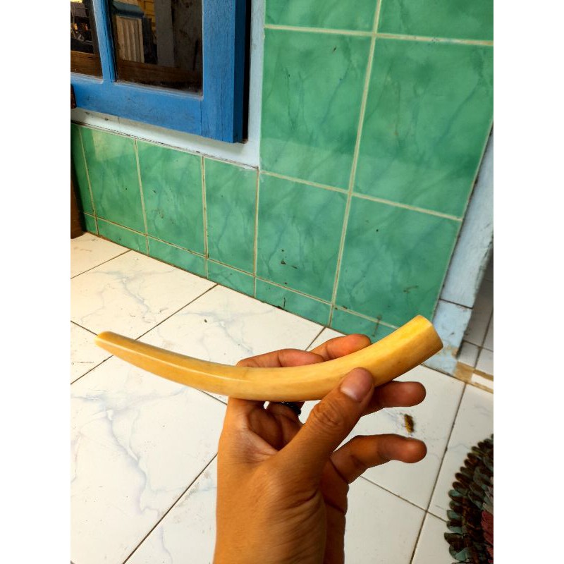 Jual bonggol | Shopee Indonesia