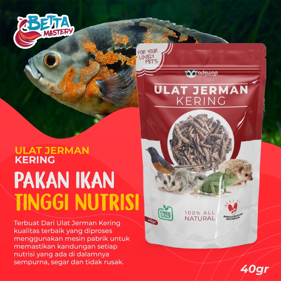 Jual ULAT GERMAN JERMAN KERING - DRIED SUPER MEALWORM 40 GRAM PAKAN ...