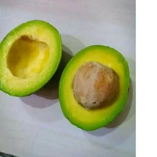 Jual Buah Mentega Terlengkap & Harga Terbaru Juni 2024 | Shopee Indonesia