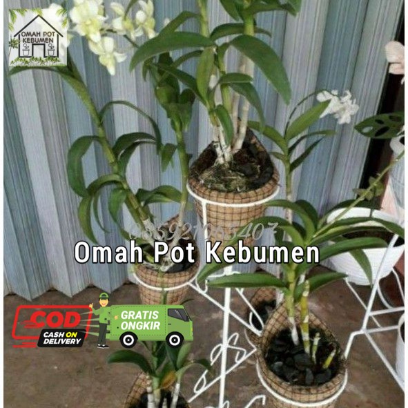 Jual (omah pot) POT ANGGREK RAK POT DUDUK TEMPEL DINDING SABUT KELAPA ...