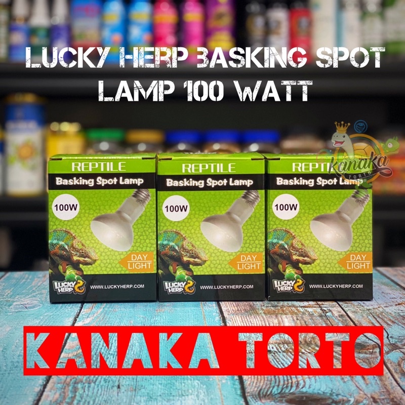 Jual Lucky Herp Basking Spot 100 Watt Lampu Pemanas UVA Reptil Kadal ...