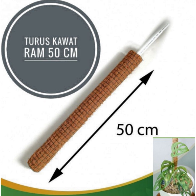 Jual Turus penyangga kawat ram panjang 50 cm-Turus Kawat Ram Tanaman ...