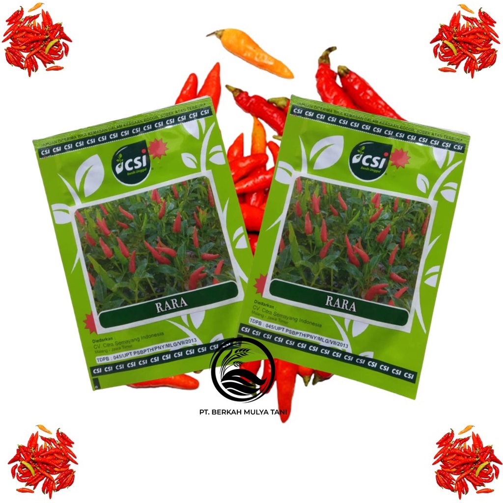 Jual Benih Cabe Rawit Hijau Merah Viral Setan Unggul Bibit Cabai Rara ...