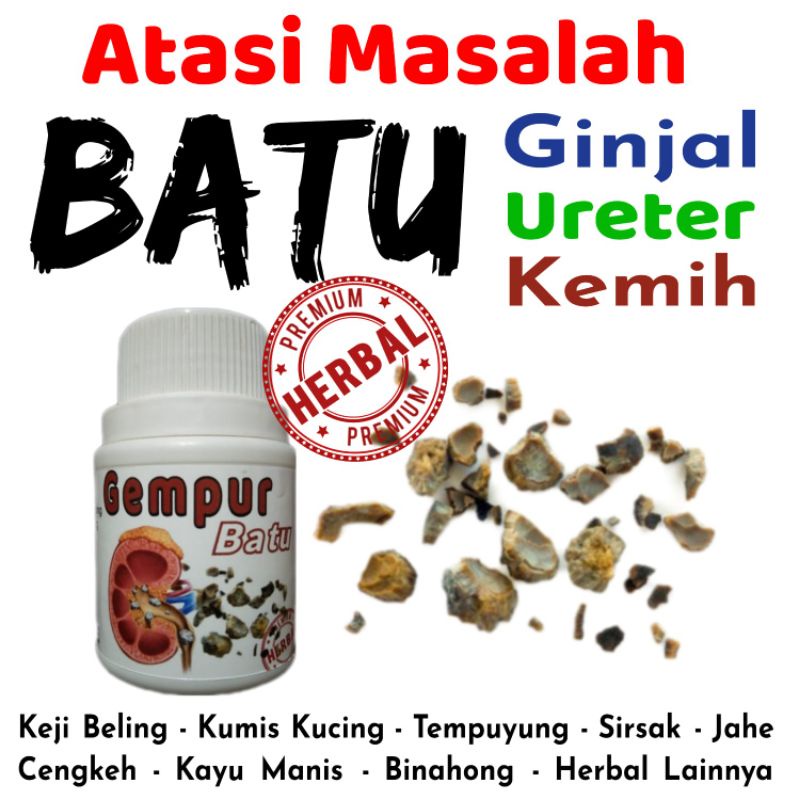 Jual Obat Batu Ginjal Batu Ureter Kencing Batu Terbukti Herbal Paling ...