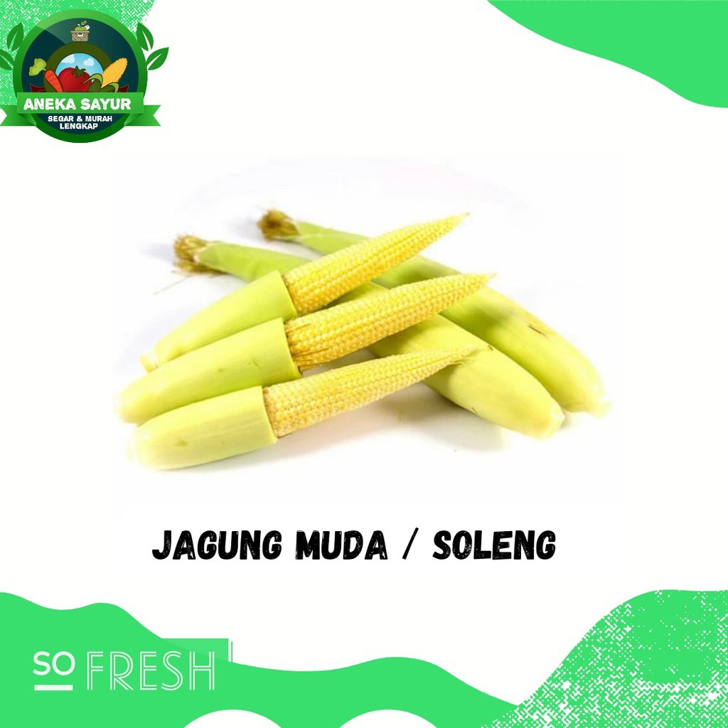 Jual Soleng Atau Jagung Muda | Shopee Indonesia