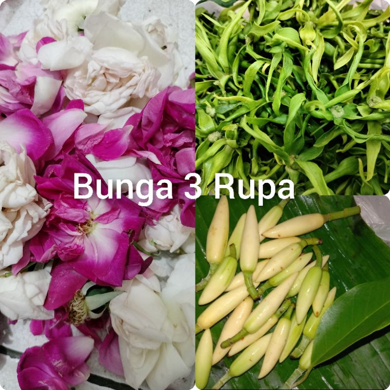 Jual kembang telon 3 rupa | Shopee Indonesia