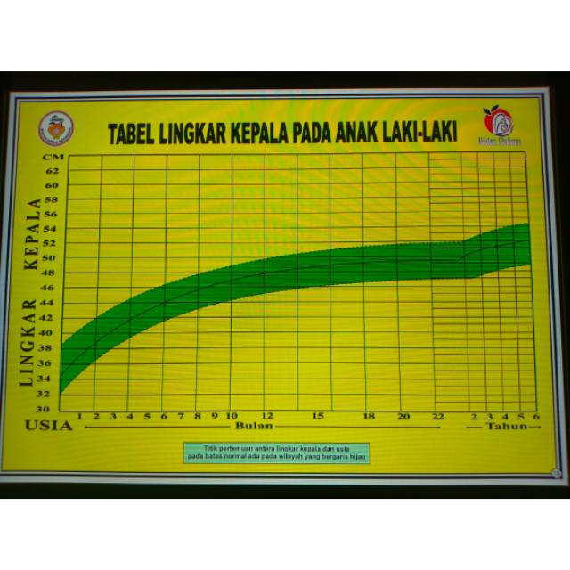 Lingkar Kepala Normal Anak Usia 4 Tahun Tentang Tahun PENGUKURAN BERAT