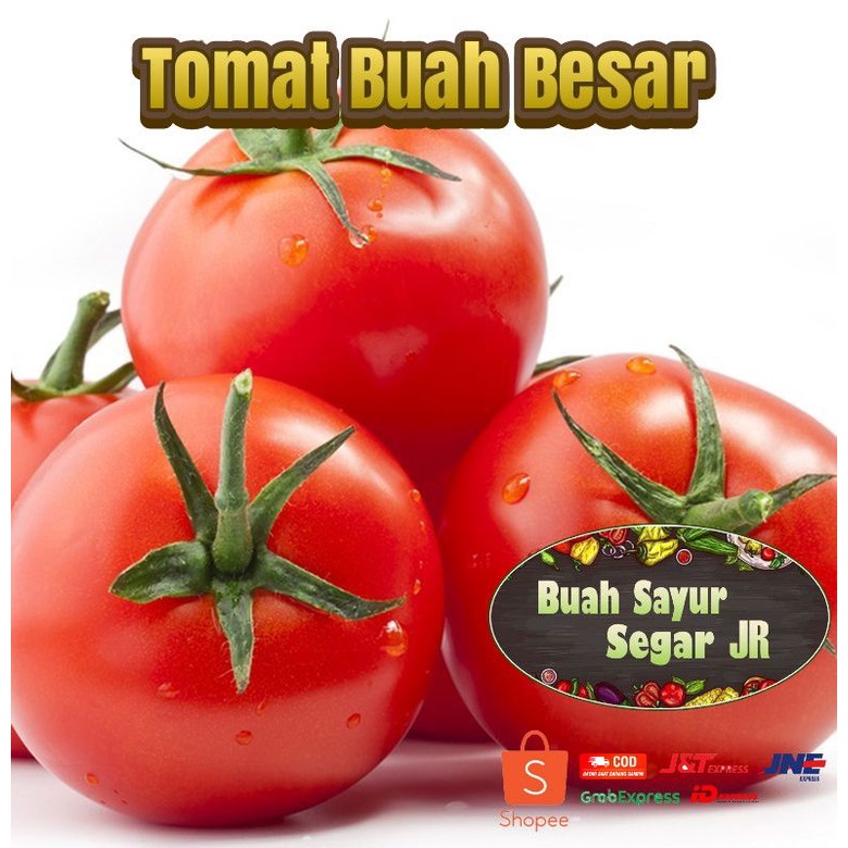 Jual BUAH TOMAT / TOMAT BESAR / TOMAT MALANG / TOMAT BUAH 500G | Shopee ...