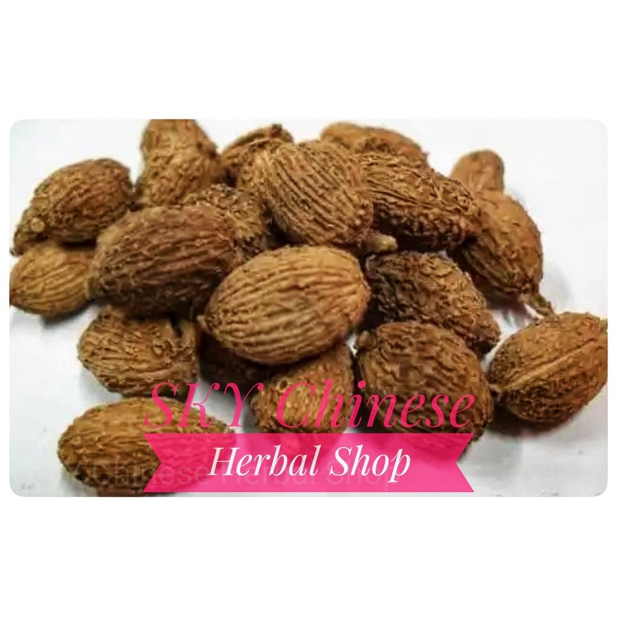 Jual Ke Sha Ren / Chinese Amomi Fruit/ Amomum Ke Sha Jen Kok Sa Jin ...