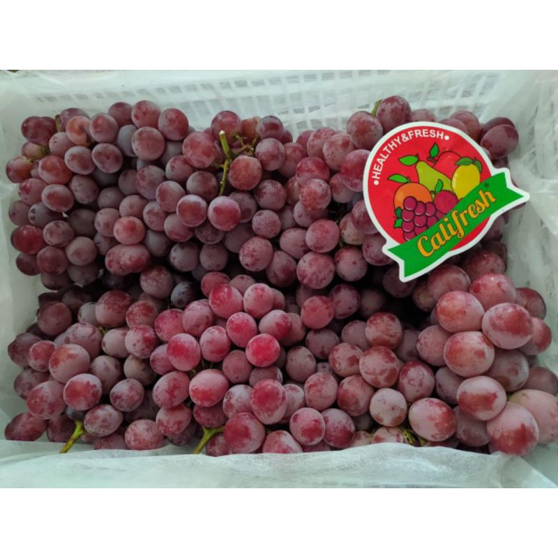 Jual ANGGUR RED GLOBE Australia (500gr) | Shopee Indonesia