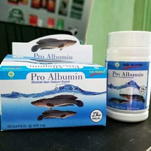 Jual Kapsul pro albumin ikan gabus kutuk | Shopee Indonesia