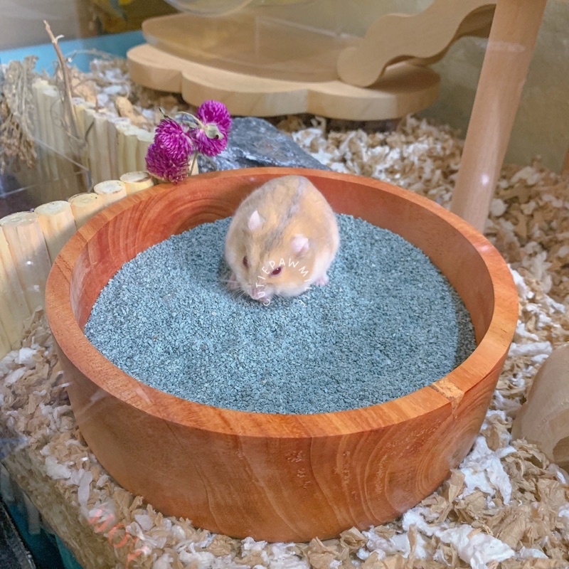 Jual Sandbox Round Wood / Tempat Pasir Hamster / Hamster Sandbox ...