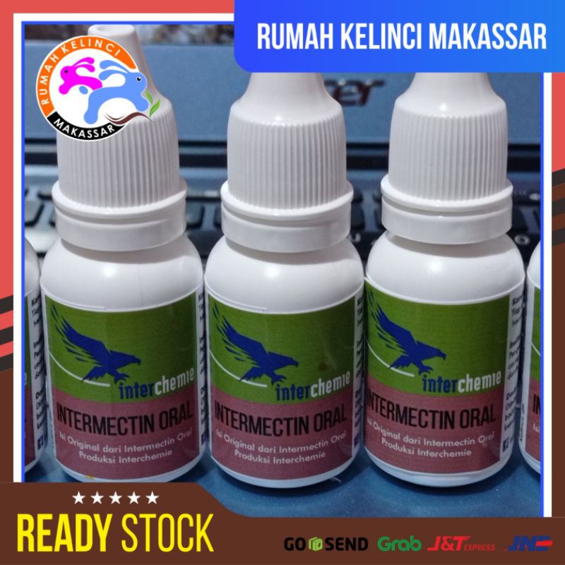 Jual INTERMECTIN ORAL 10 ML Mirip Kepromec Obat Scabies Kutu Parasit ...