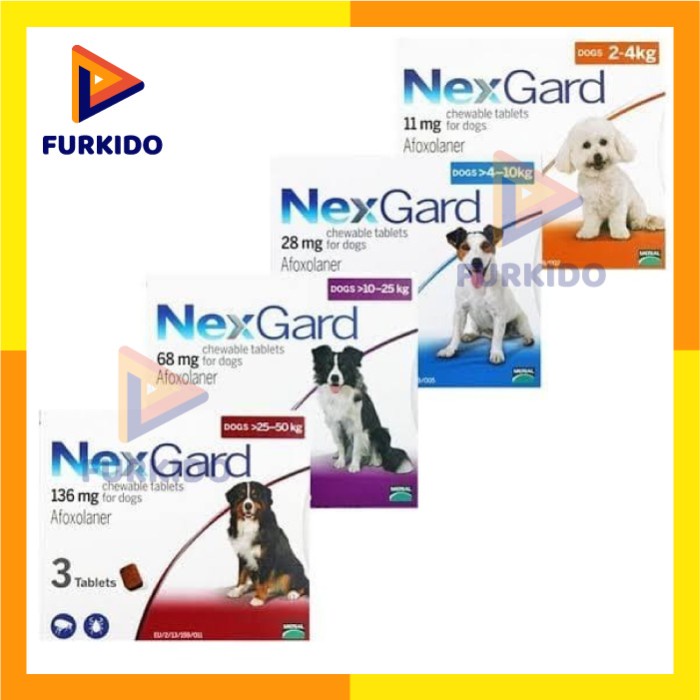 Jual Nexgard Obat Kutu Anjing / Demodex L (10-25 kg) | Shopee Indonesia