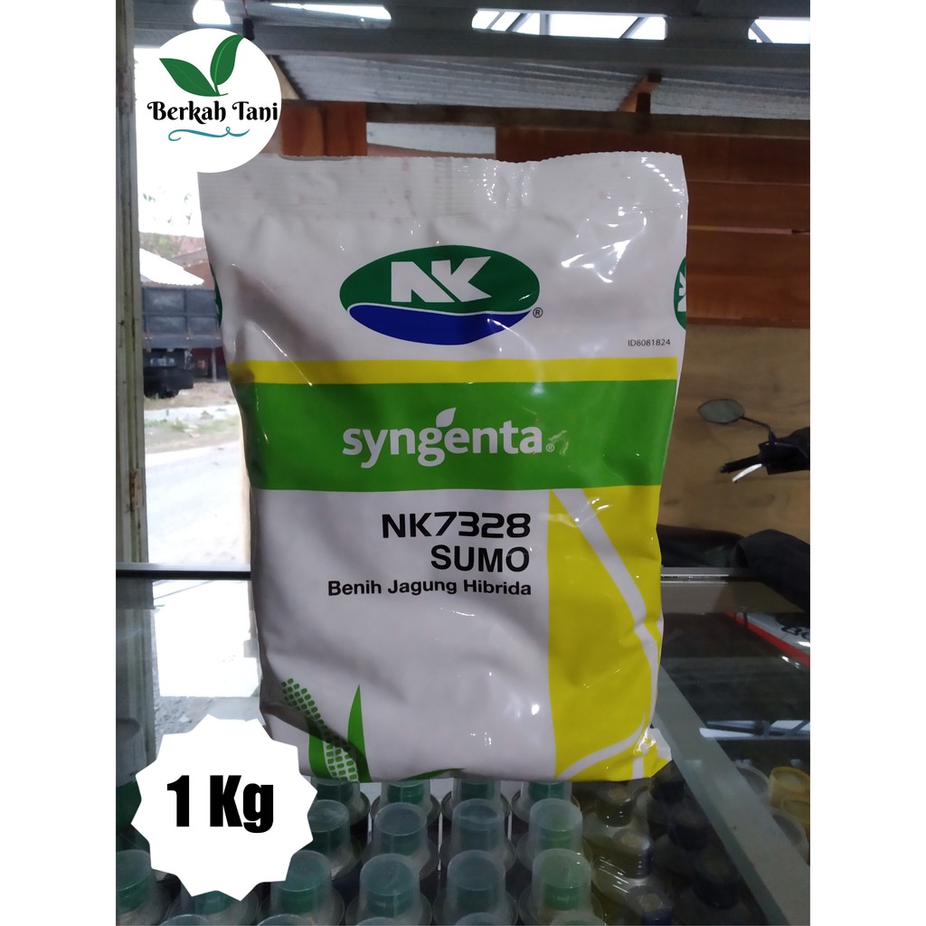 Jual Benih Jagung Hibrida NK 7328 Sumo 1Kg/Benih Jagung NK 7328 Sumo ...
