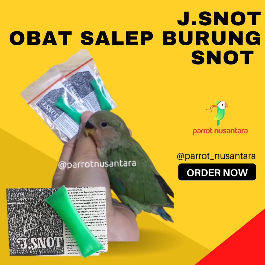 Jual Obat snot burung Jsnot | Shopee Indonesia