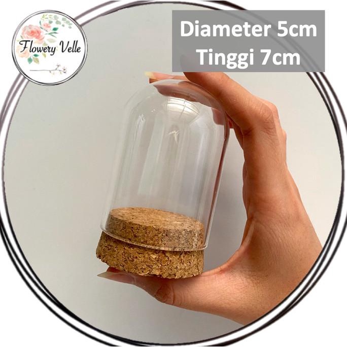 Jual Mini Glass Dome Kecil Kubah Kaca Kosong Flower Dome Display ...