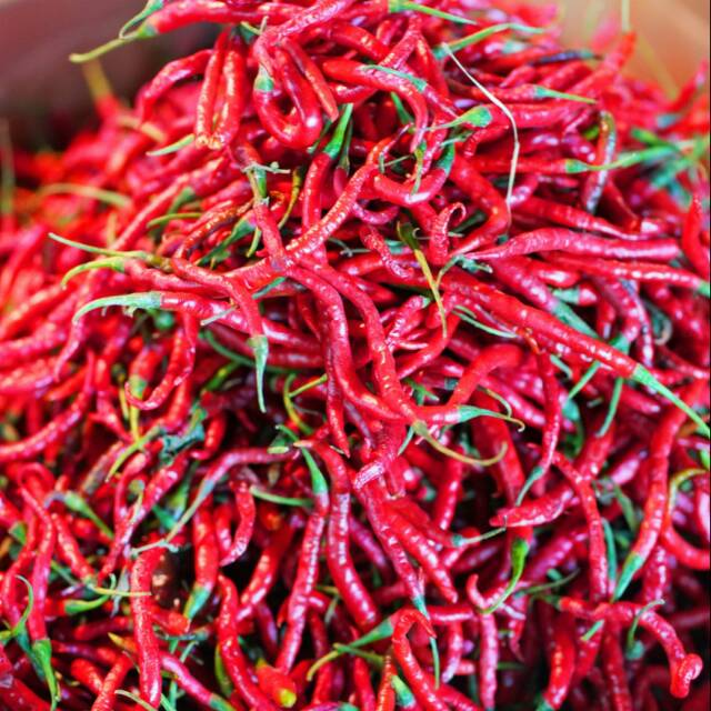 Jual Cabe Terlengkap & Harga Terbaru Juni 2026 | Shopee Indonesia