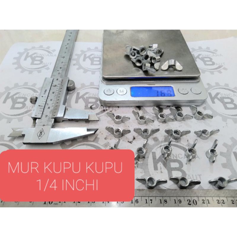 Jual 10 Pcs MUR KUPU 1/4 / MUR KUPING 1/4 / WING NUT 1/4 | Shopee Indonesia