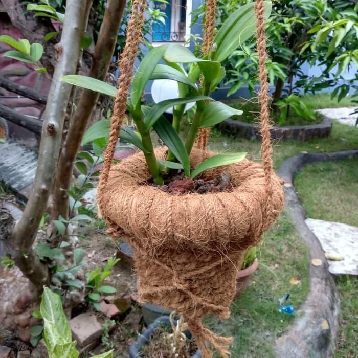 Jual POTGANTUNG POT SERABUT KELAPA SABUT KELAPA POT ANGGREK POT TANAMAN ...