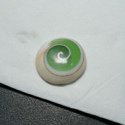 Jual Batu akik kol buntet fosfor original | Shopee Indonesia