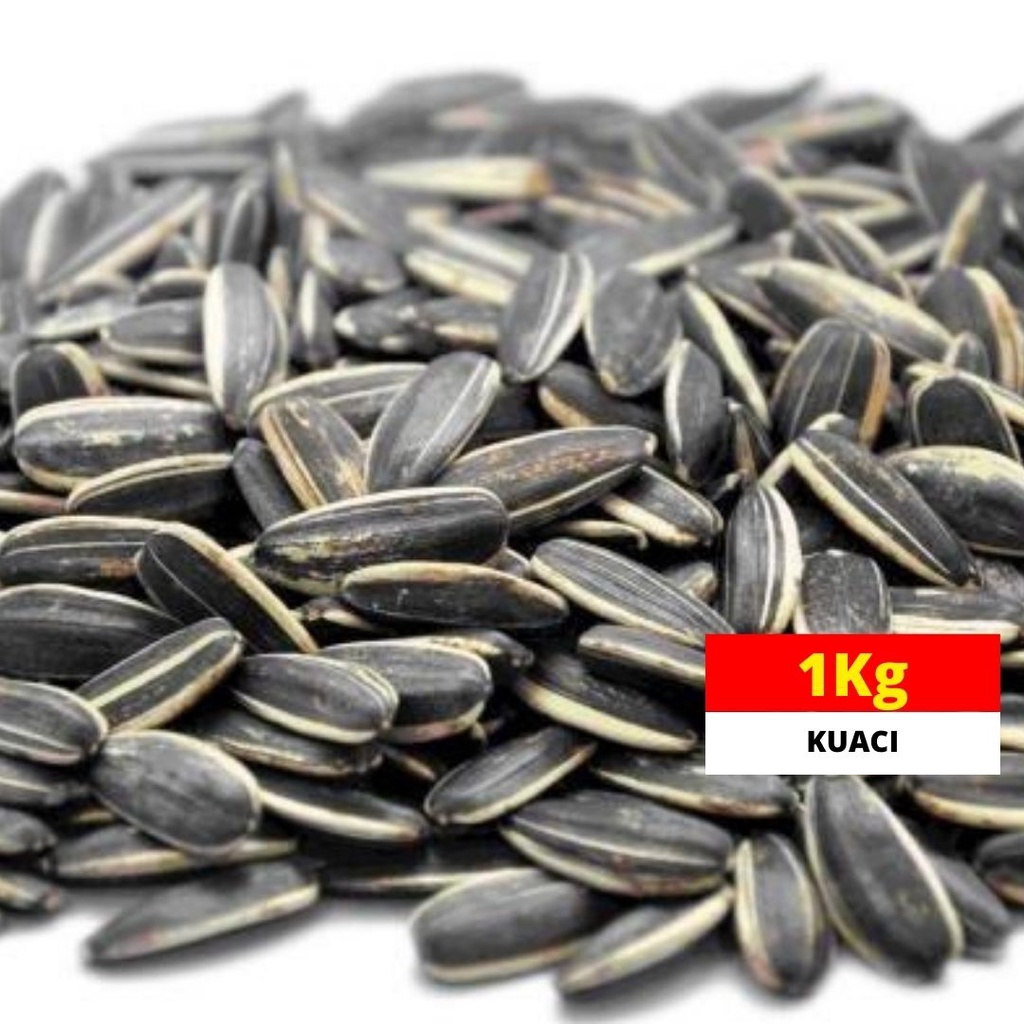 Jual Kuaci Biji Matahari Cemilan Murah Kemasan 1Kg | Shopee Indonesia