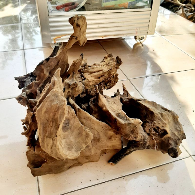 Jual Kayu rentek aquascape berkarakter ukuran M murah | Shopee Indonesia