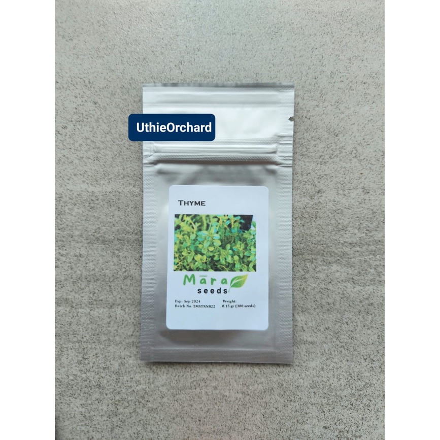 Jual Mara Seeds - Thyme (300 seeds) | Shopee Indonesia
