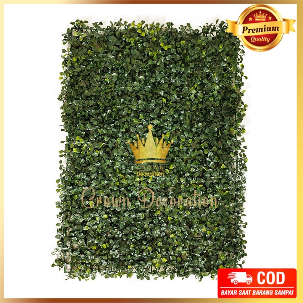 Jual Rumput Dinding Oxylia Ukuran 60cm x40 cm /Daun Dollar Plastik ...