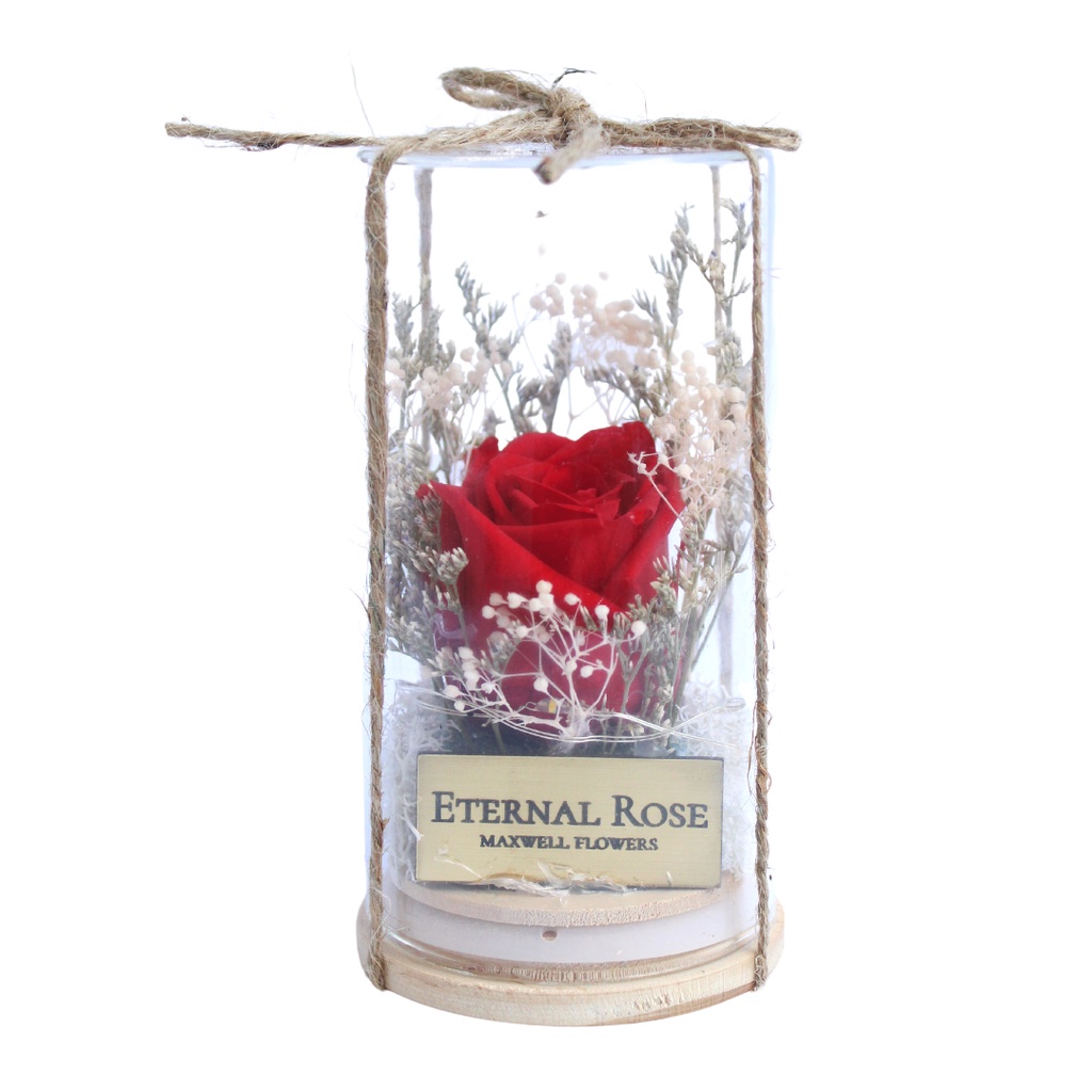 Jual Belle Eternal Rose bunga hadiah abadi dome romantis bunga mawar ...