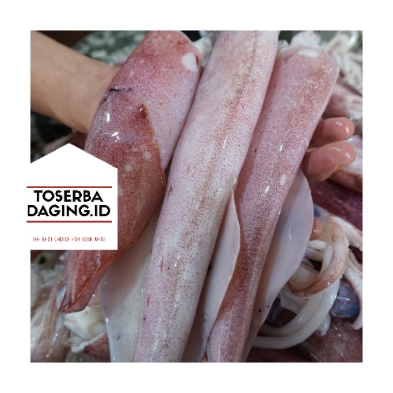 Jual CUMI FRESH 500g ( Size besar ) | Shopee Indonesia