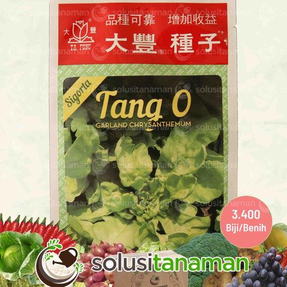 Jual BARU GAES Benih Tang O ( Tung Ho / Tong Hao ) " Garland ...