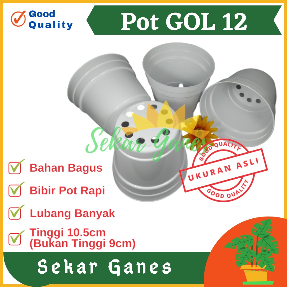 Jual Sekarganes Lusinan Pot 12 Putih Polos - Pot 12 Cm Putih Kecil Mini ...