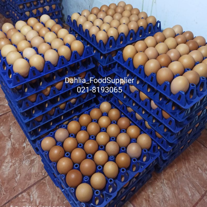Jual TELUR AYAM NEGRI 1KG FRESH TERMURAH | telor ayam negeri | telur ...