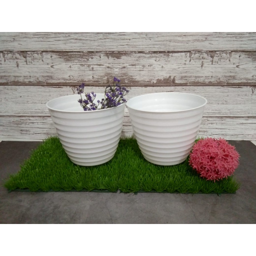 Jual Pot Bunga Tawon Putih dan Hitam Lotus ukuran diameter 20-35cm/Pot ...