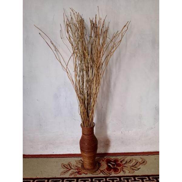 Jual 100 Batang Akar Manon/Akar Mentau/Akar Rustic | Shopee Indonesia