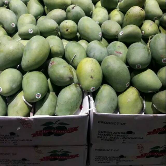 Jual mangga lili harumanis lily mango super matang pohon sweet box / 5 ...