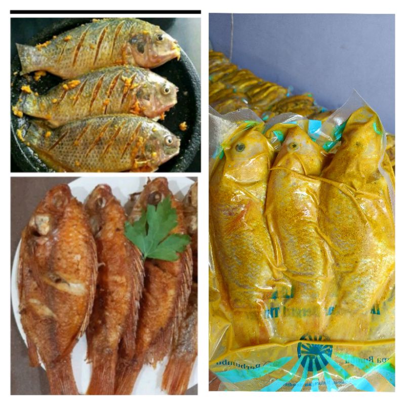 Jual Ikan Nila Bumbu Kuning 500gr | Shopee Indonesia