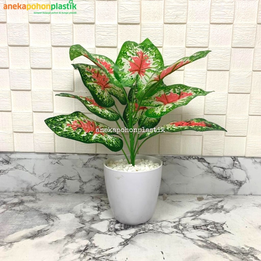 Jual Pohon Hias Tanaman Artificial Daun Bahagia X9 Merah Corak Semi ...