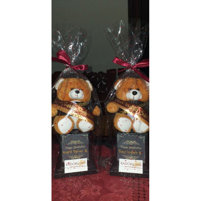 Jual Kado Wisuda/Medali Custom/Piala Boneka Wisuda | Shopee Indonesia