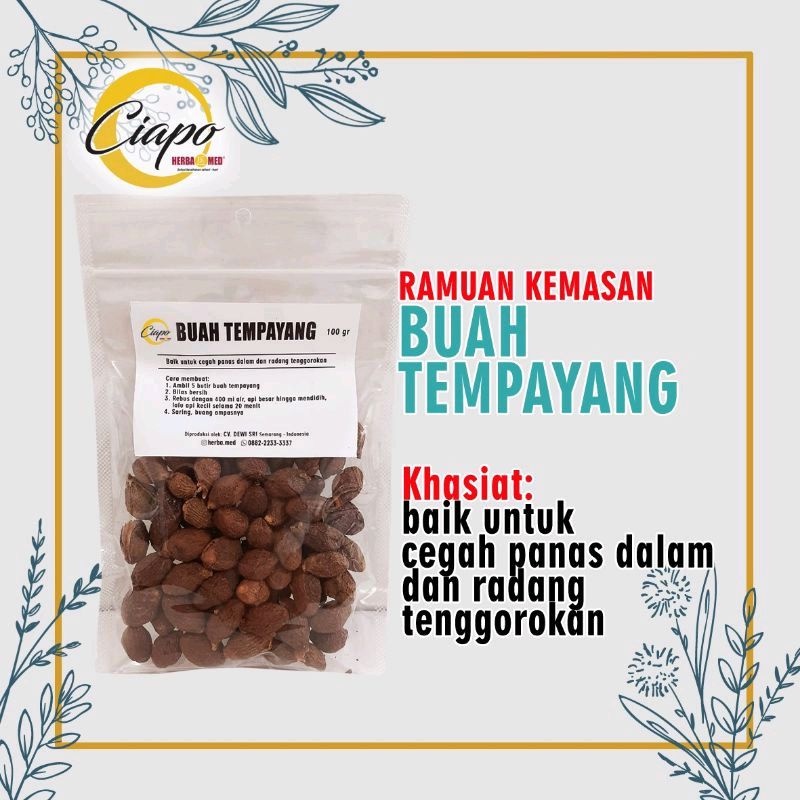 Jual Buah Tempayang (Pang da Hai) utk panas dalam | Shopee Indonesia