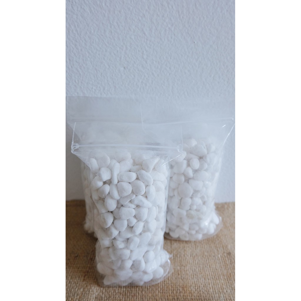 Jual Batu Hias Vas Bunga / Aquaspace Cora Putih | Shopee Indonesia