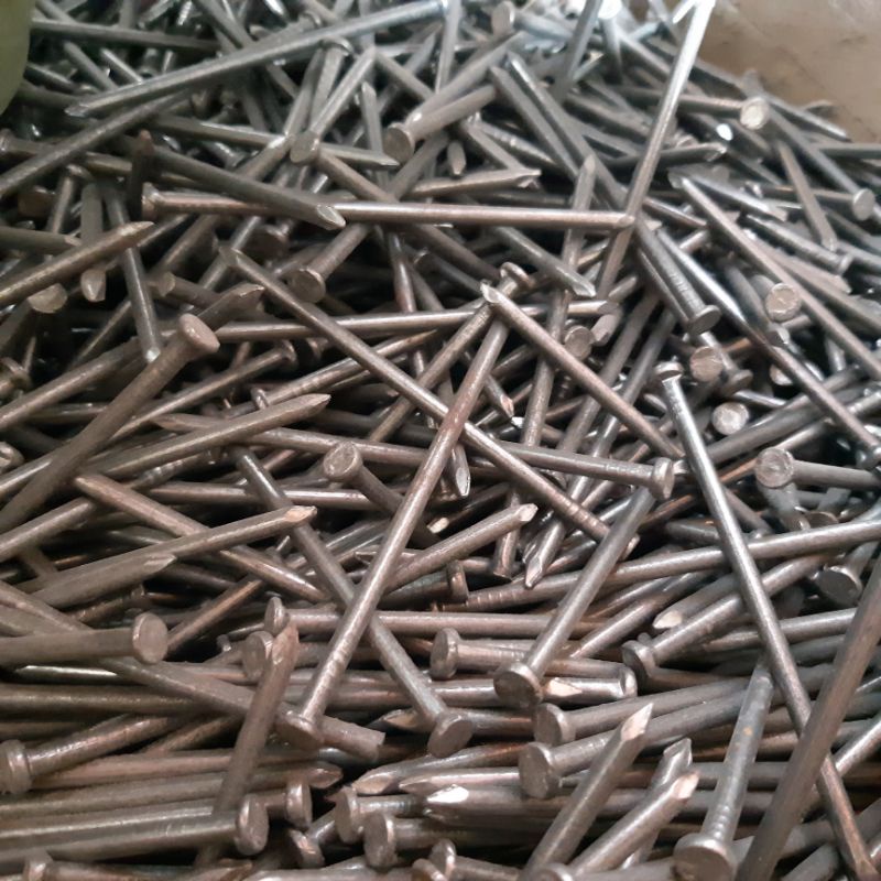 Jual Paku Kayu Ukuran 10 cm per 1 kg | Shopee Indonesia