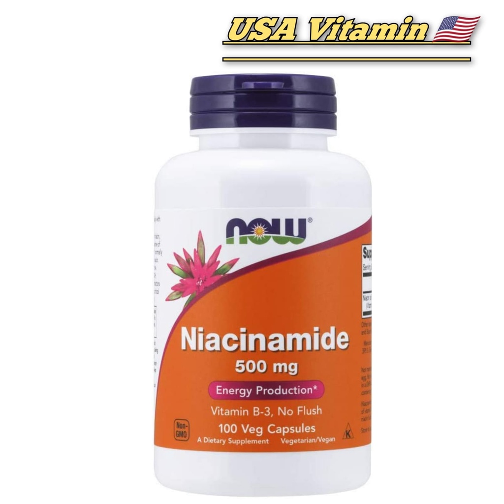 Jual Now Foods Niacinamide 500 mg Vitamin B3 100 Veg Capsules | Shopee Indonesia
