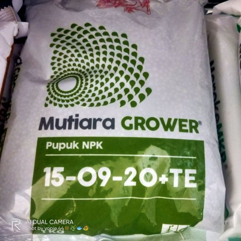 Jual npk mutiara grower 1kg | Shopee Indonesia